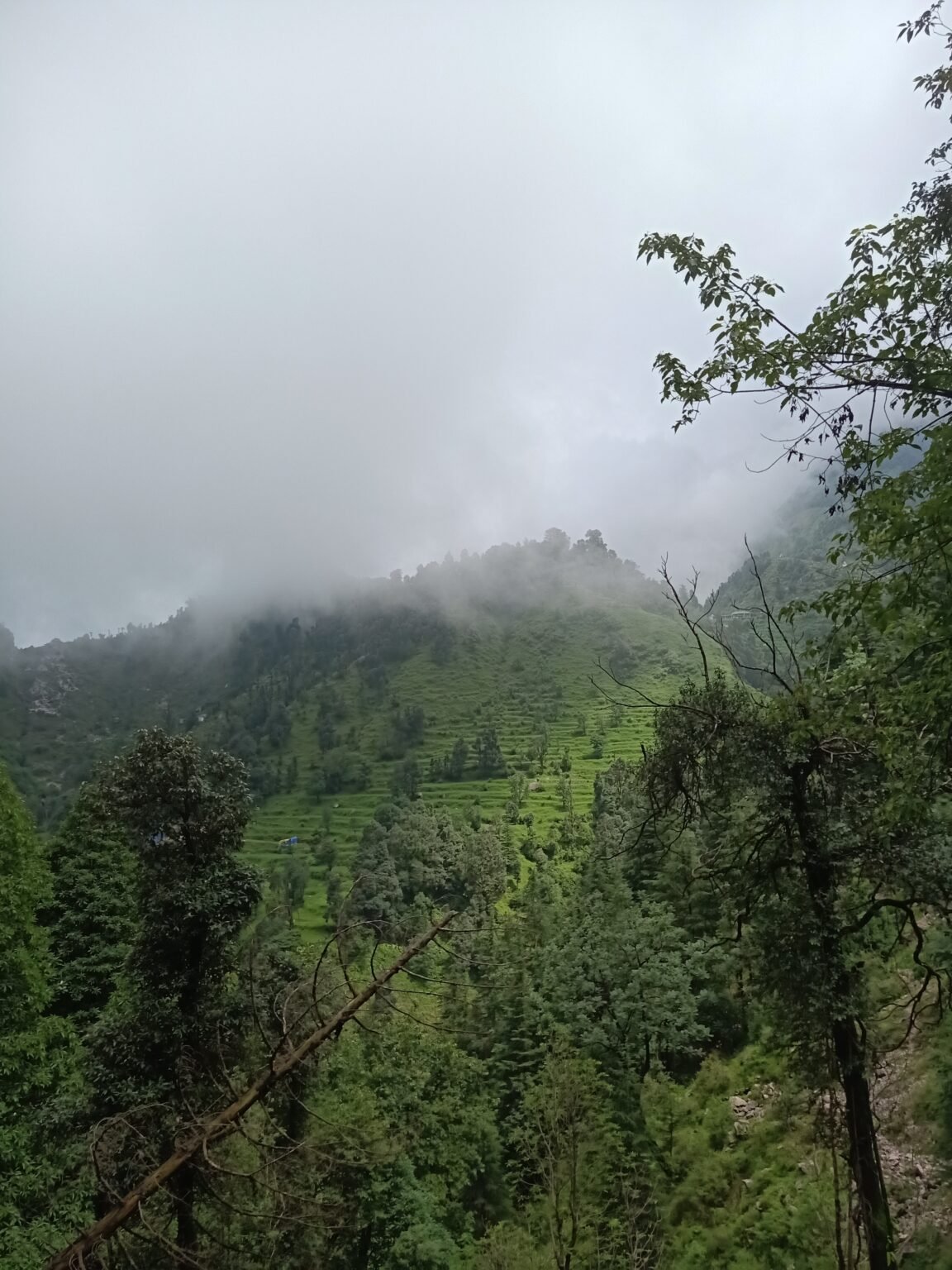 Naddi – A Hidden Gem in Himachal Pradesh (2025 Travel Guide) - Travreviews